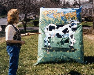 Cow Pie Fly | Rainbow Promotions